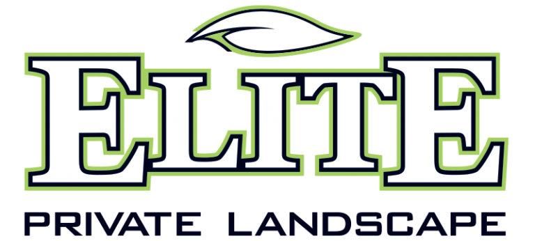 Scott Shehadey - Elite Team Offices